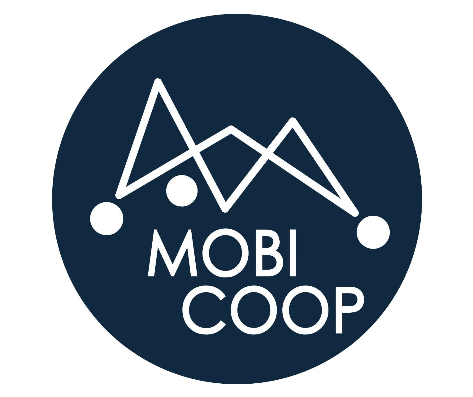 Mobi-1 | Véhicule Utilitaire Urbain Électrique - Mobi Coop